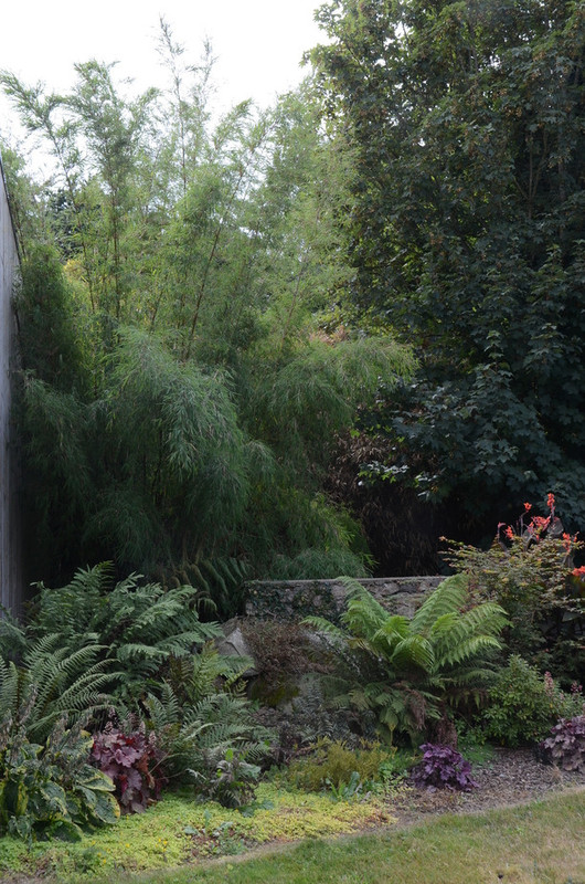 s DSC 0481 — Postimages