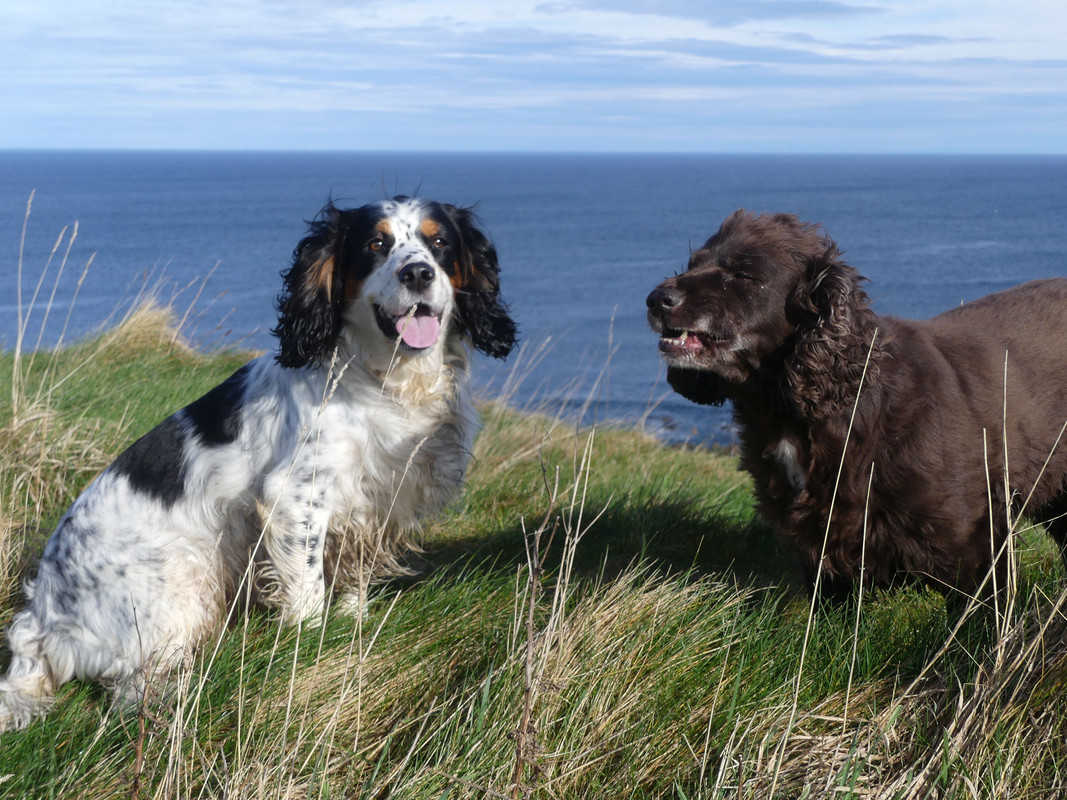 INC and ISA 210323 — Postimages