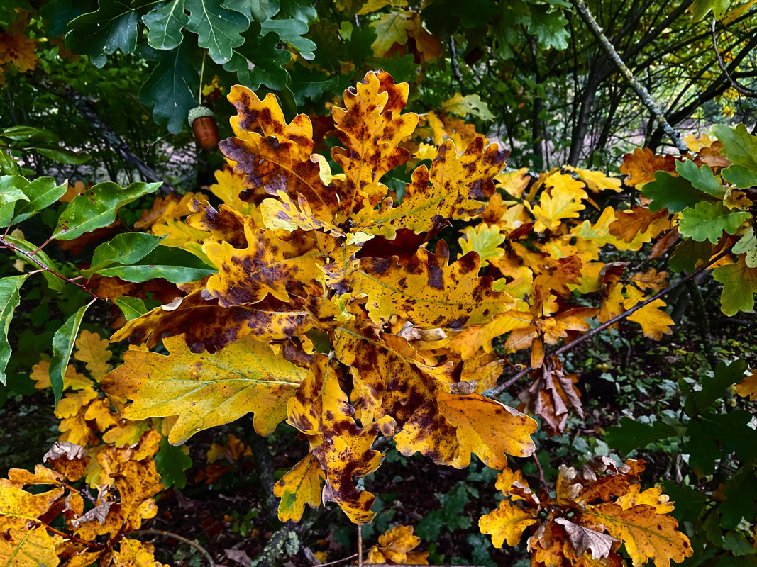 177 C912 D D8 A1 40 C7 B8 E3 67 FF5018 F7 EA — Postimages