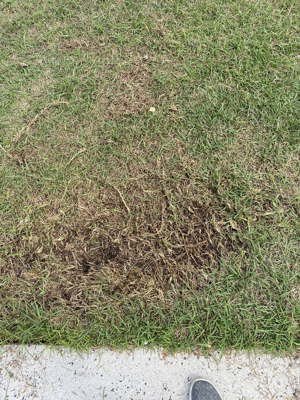 IMG 1015 — Postimages