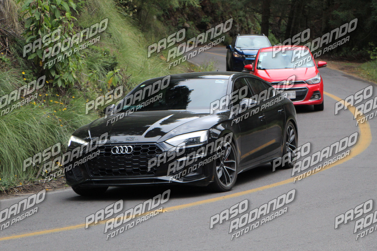 IMG 4651 wm 2102542 5000000005 watermarked — Postimages