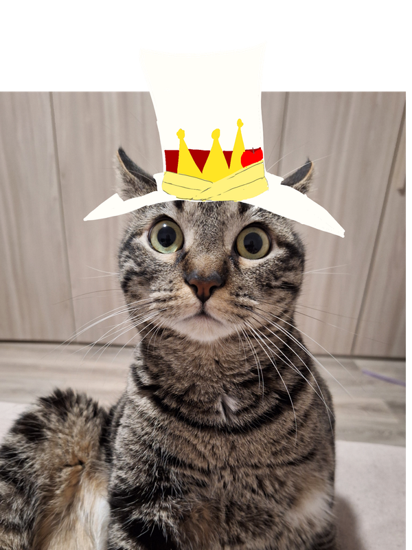 2024 09 02 0iq Kleki 01 Layer 1 — Postimages