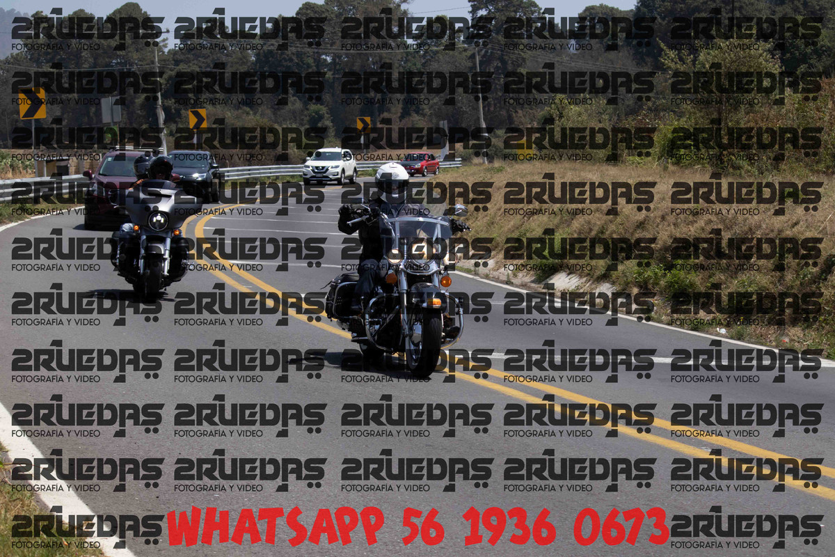 IMG 0499 — Postimages