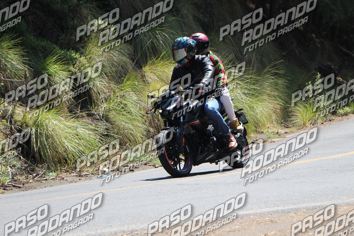 IMG 3422 wm 193614 30000000005 watermarked — Postimages