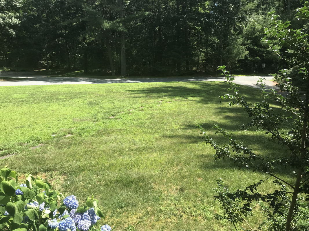 BF90 C1 BA 66 B4 4 BDF B622 A26 F80 FA7 ACC — Postimages