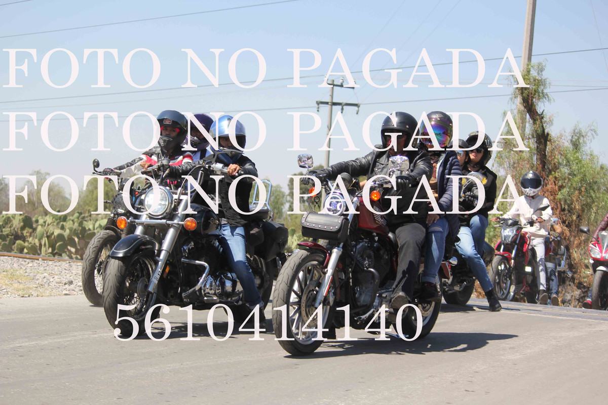 IMG 1815 — Postimages