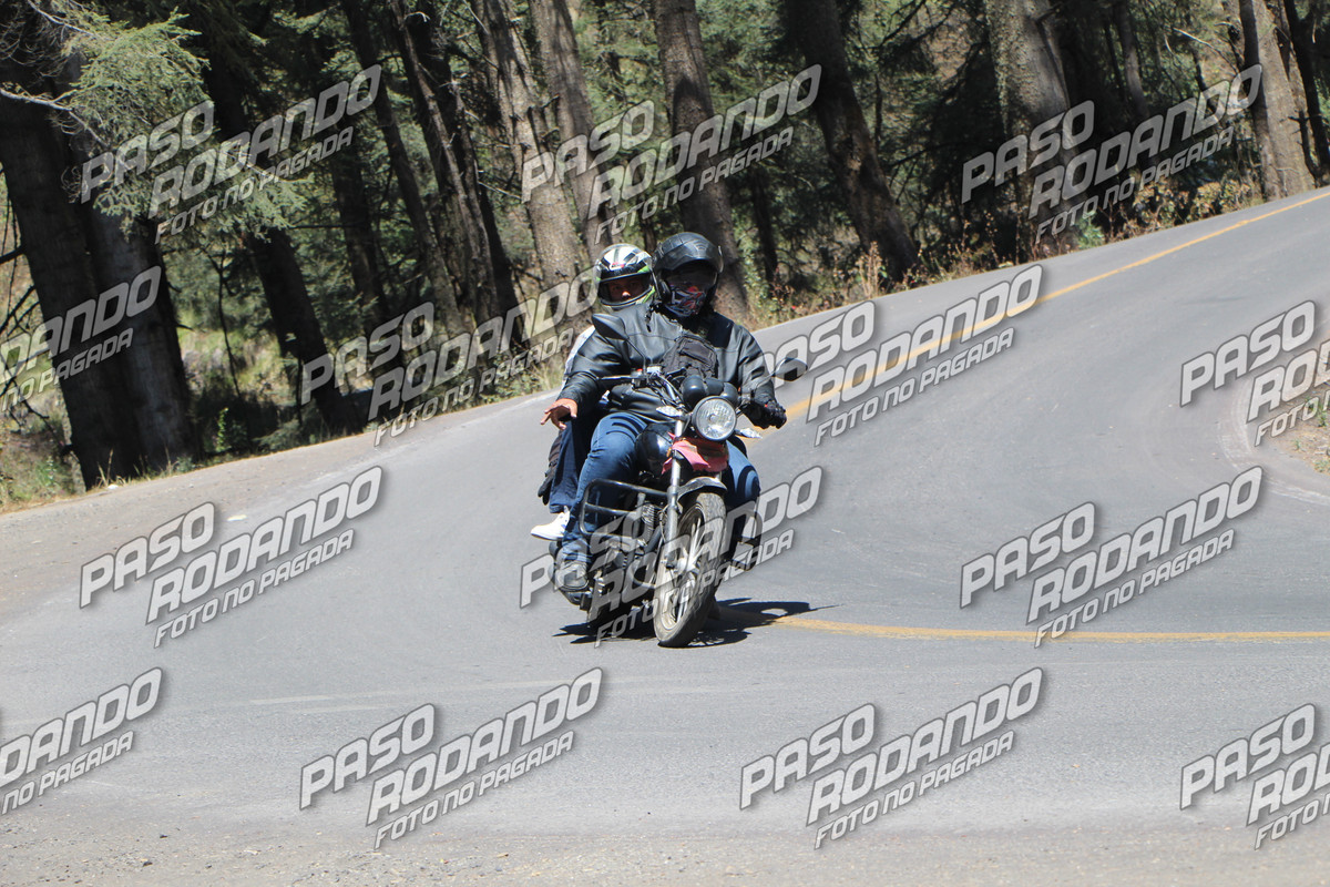 IMG 1531 wm 258209 20000000112 watermarked — Postimages