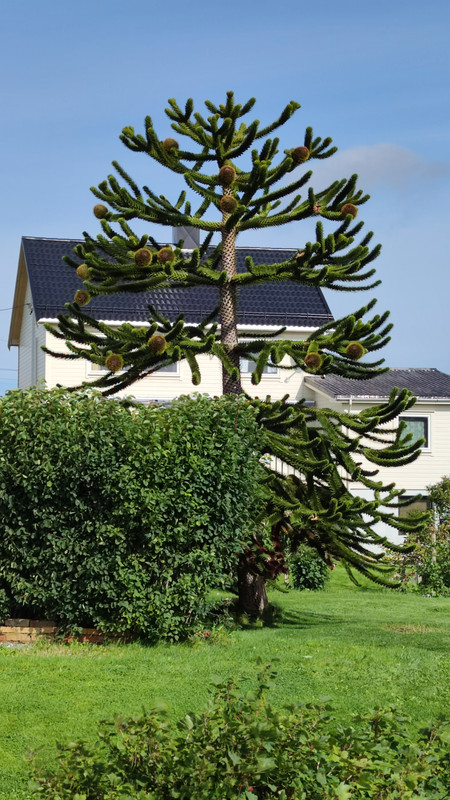 IMG 20220811 112211 — Postimages