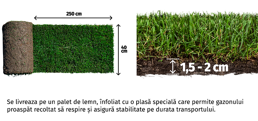 Gazon natural rulat OxyGazon tip Royal Seceta, 1 palet x 40 mp - eMAG.ro