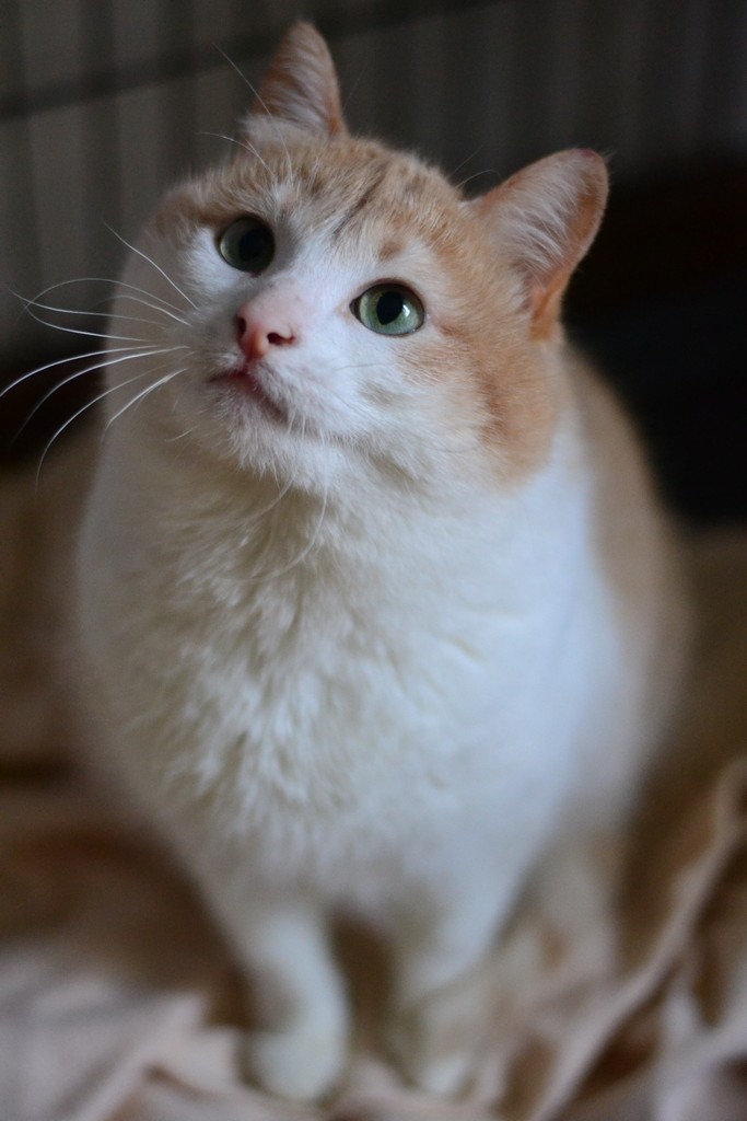 DSC 2452 — Postimages