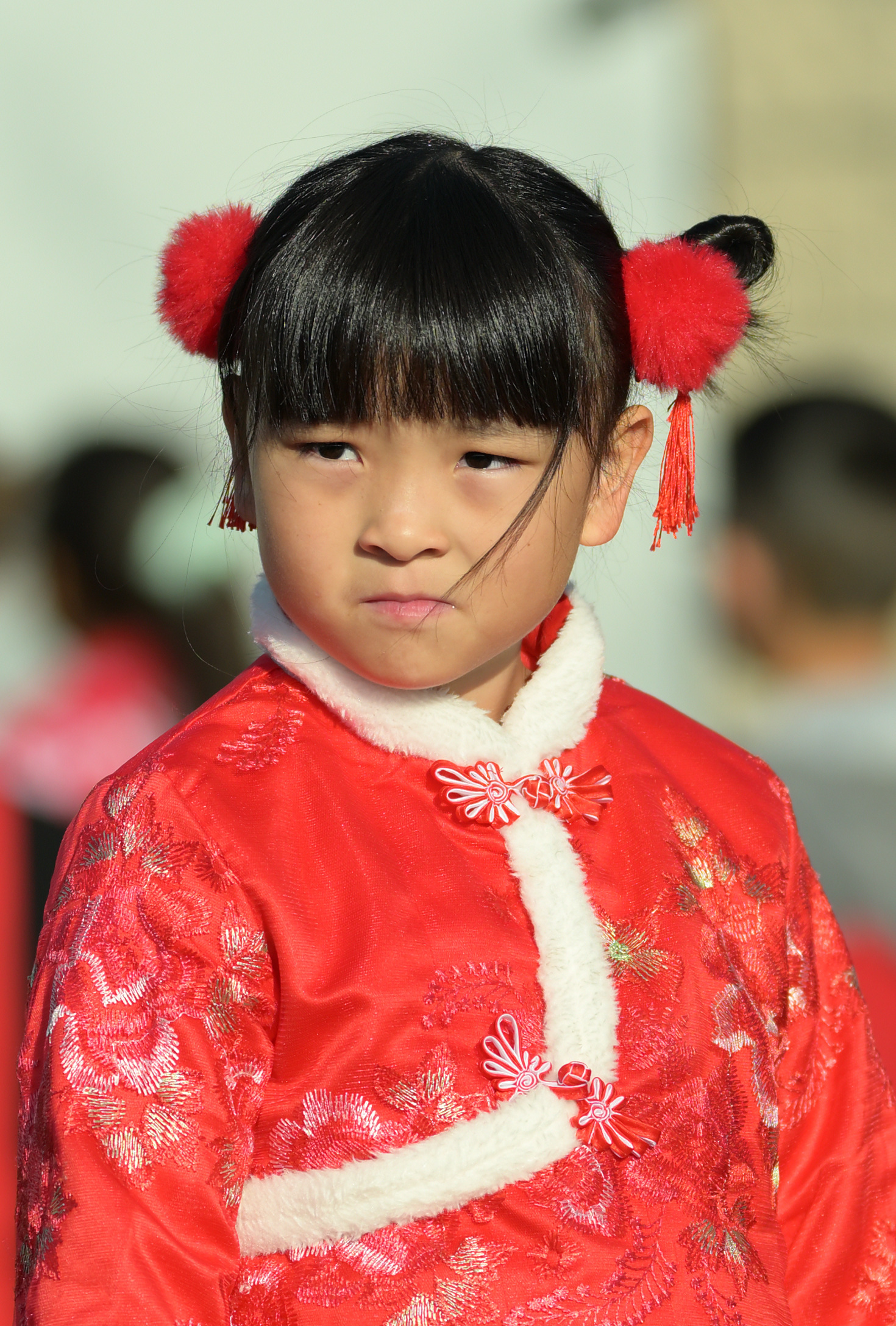 Z8 P 9903 NX PT — Postimages