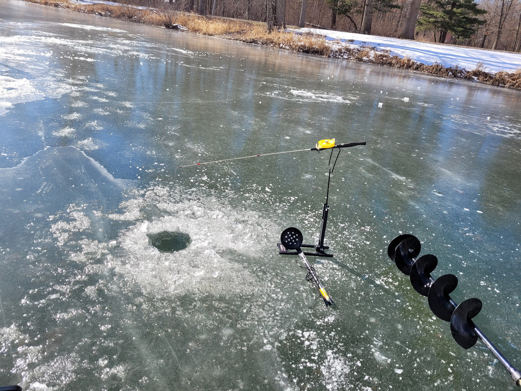 20230203 124234 — Postimages