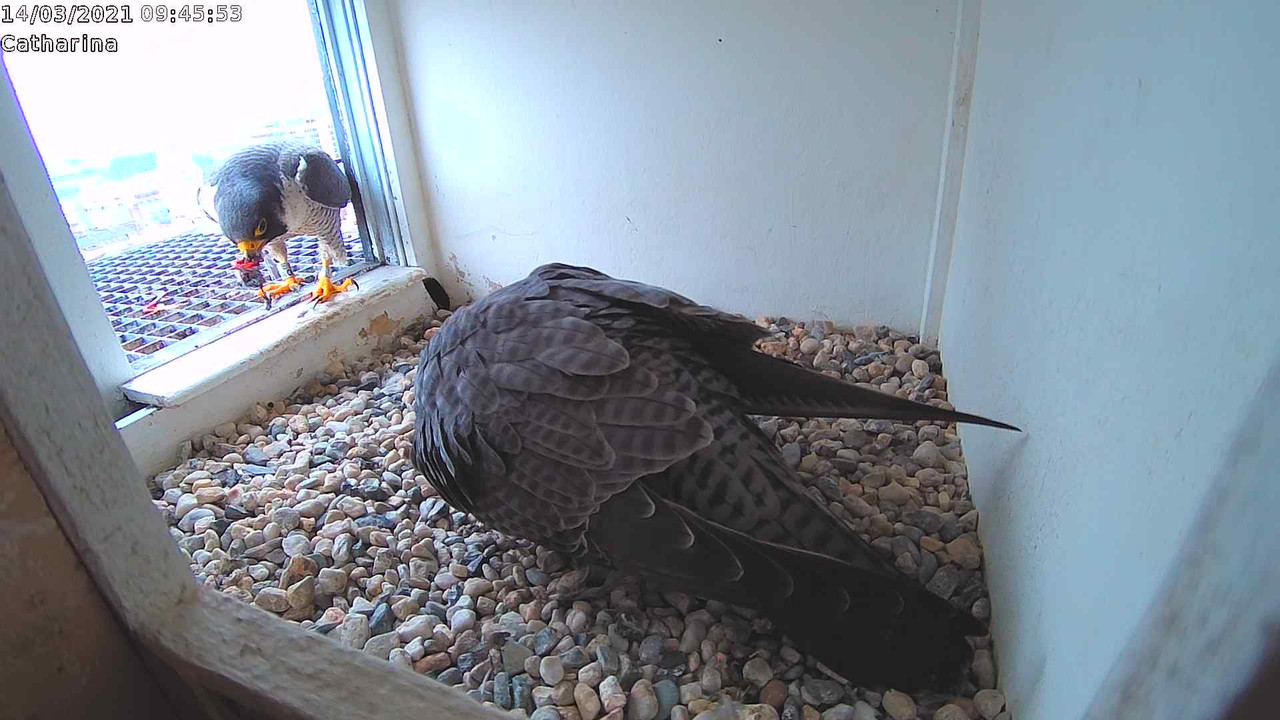 14 3c — Postimages