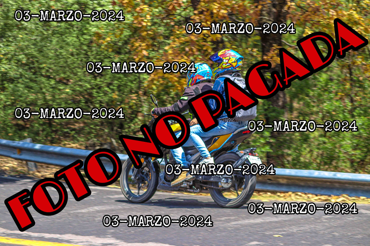 CA 1017 — Postimages