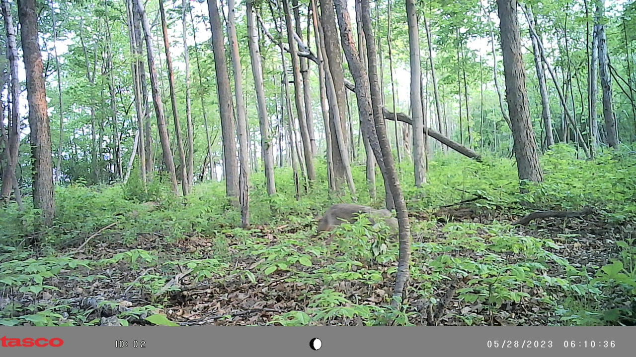 IMAG0150 — Postimages