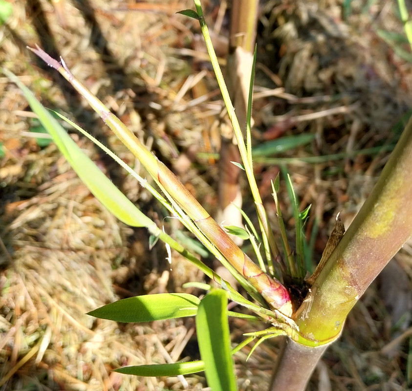 20240421 102100 — Postimages