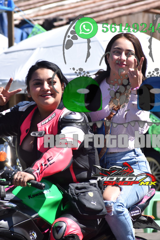 AVQ 2689 — Postimages