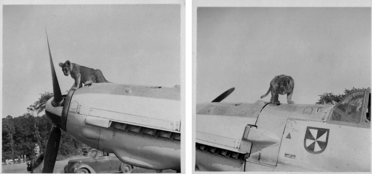 New Project 2 — Postimages