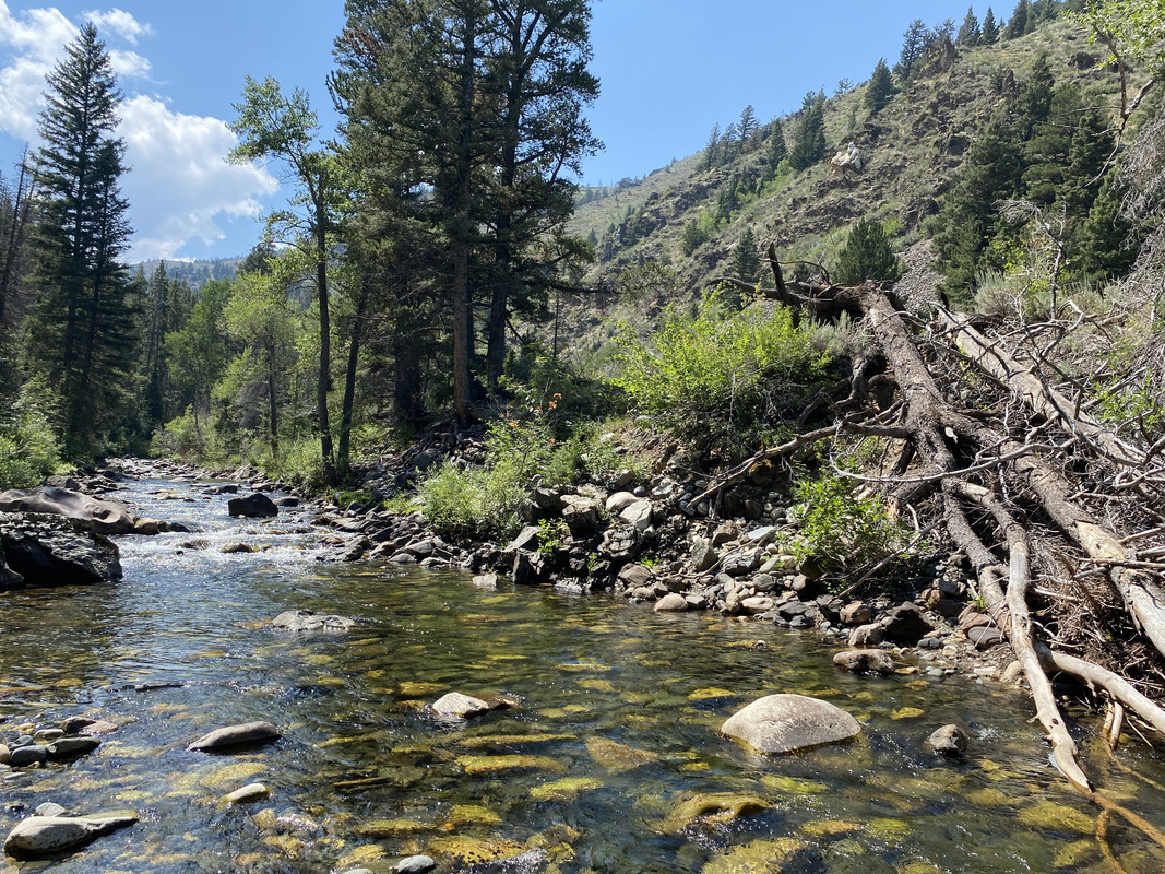 IMG 5609 — Postimages