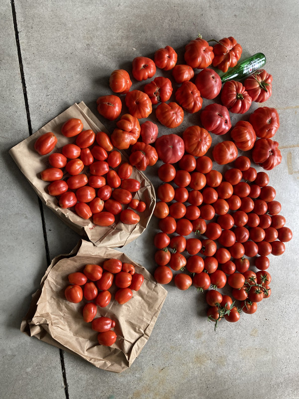 IMG 0890 — Postimages