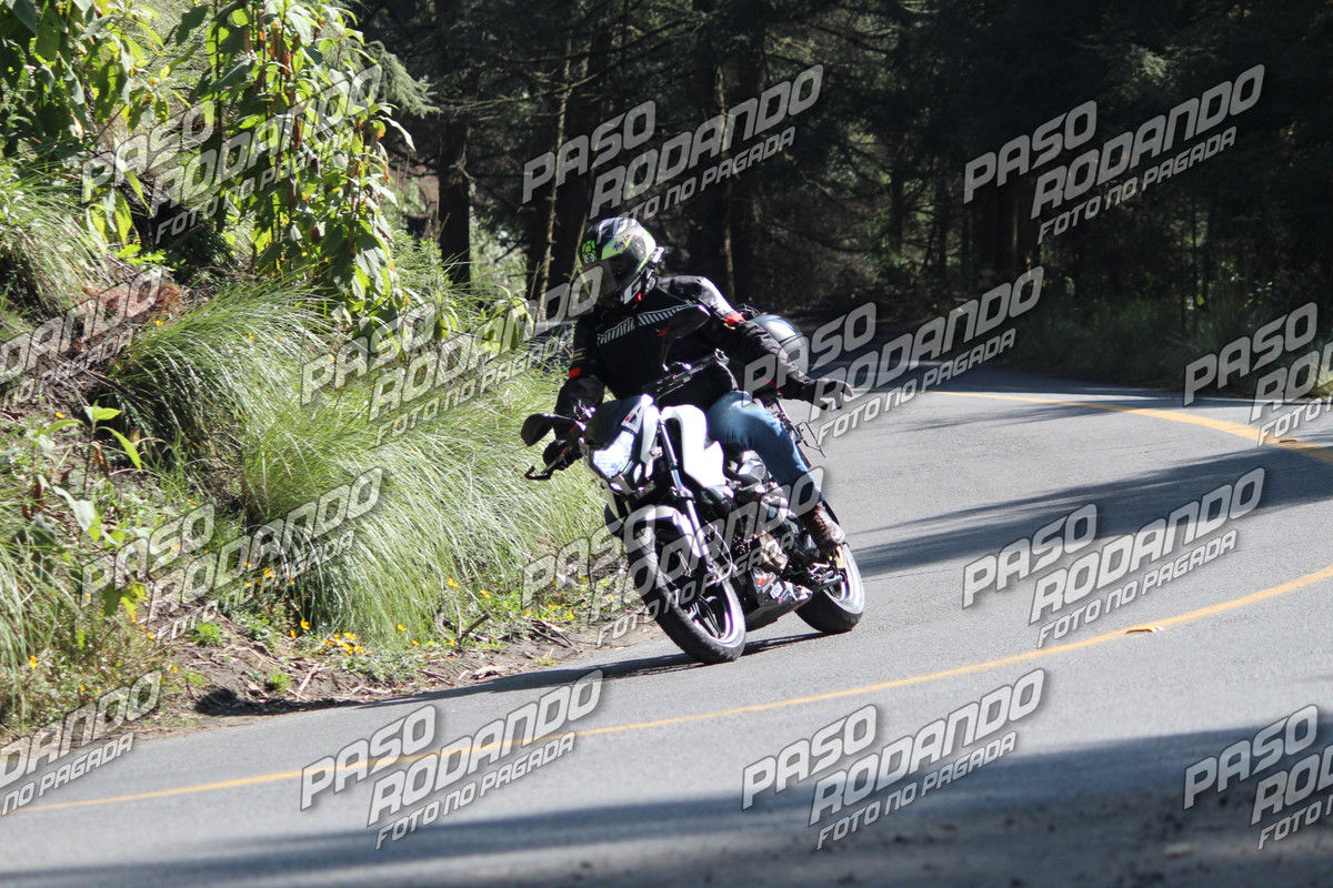 IMG 2603 wm 890189 9999999999 watermarked — Postimages