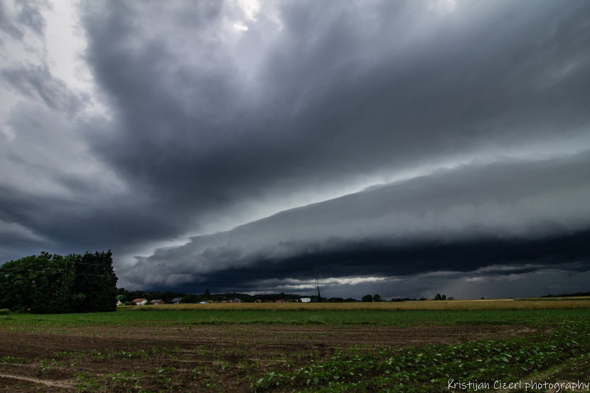 IMG 7962 — Postimages