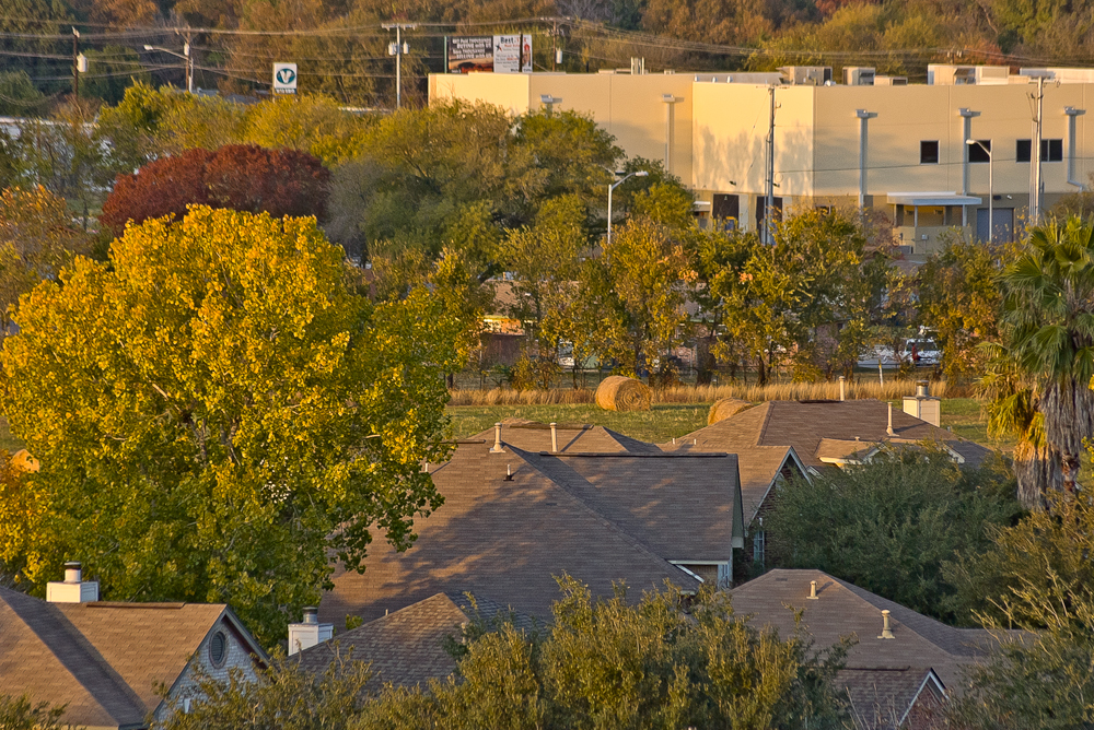 Post your own photographs thread | Page 80 | Steve Hoffman Music Forums