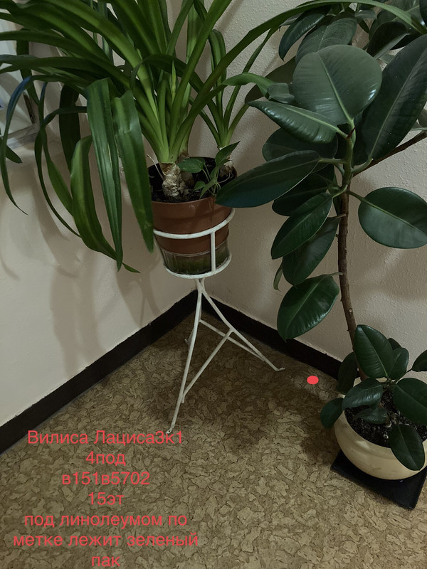 IMG 0034 — Postimages