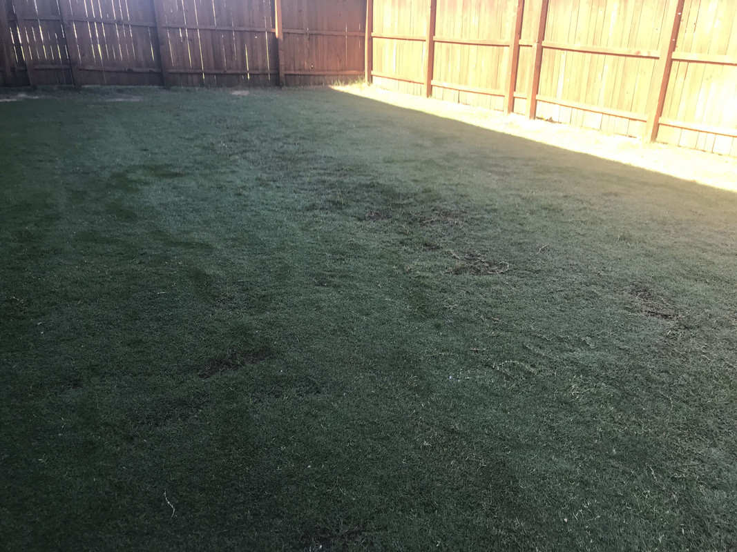 BA11 E3 EE DB7 B 4 CB6 92 A1 7 F7847 E42 F56 — Postimages