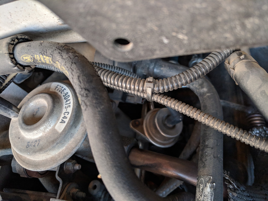 IMG 20190125 075204 — Postimages