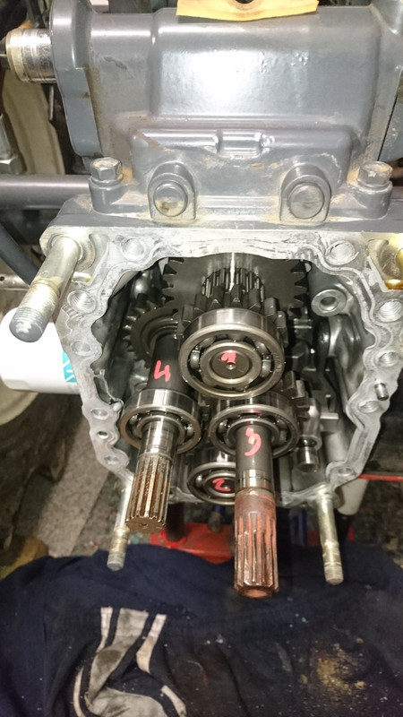 DSC 0293 — Postimages