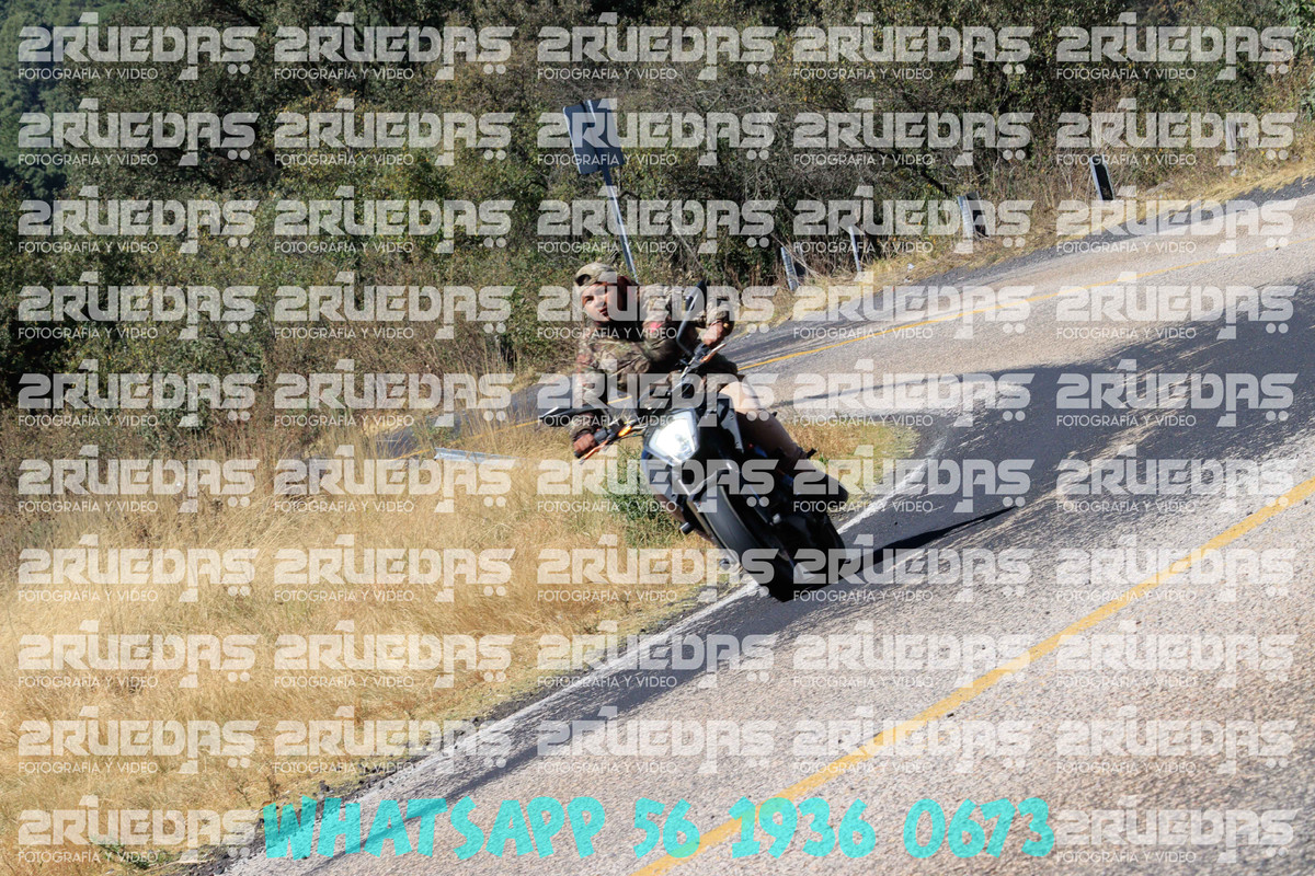 MG 1088 — Postimages