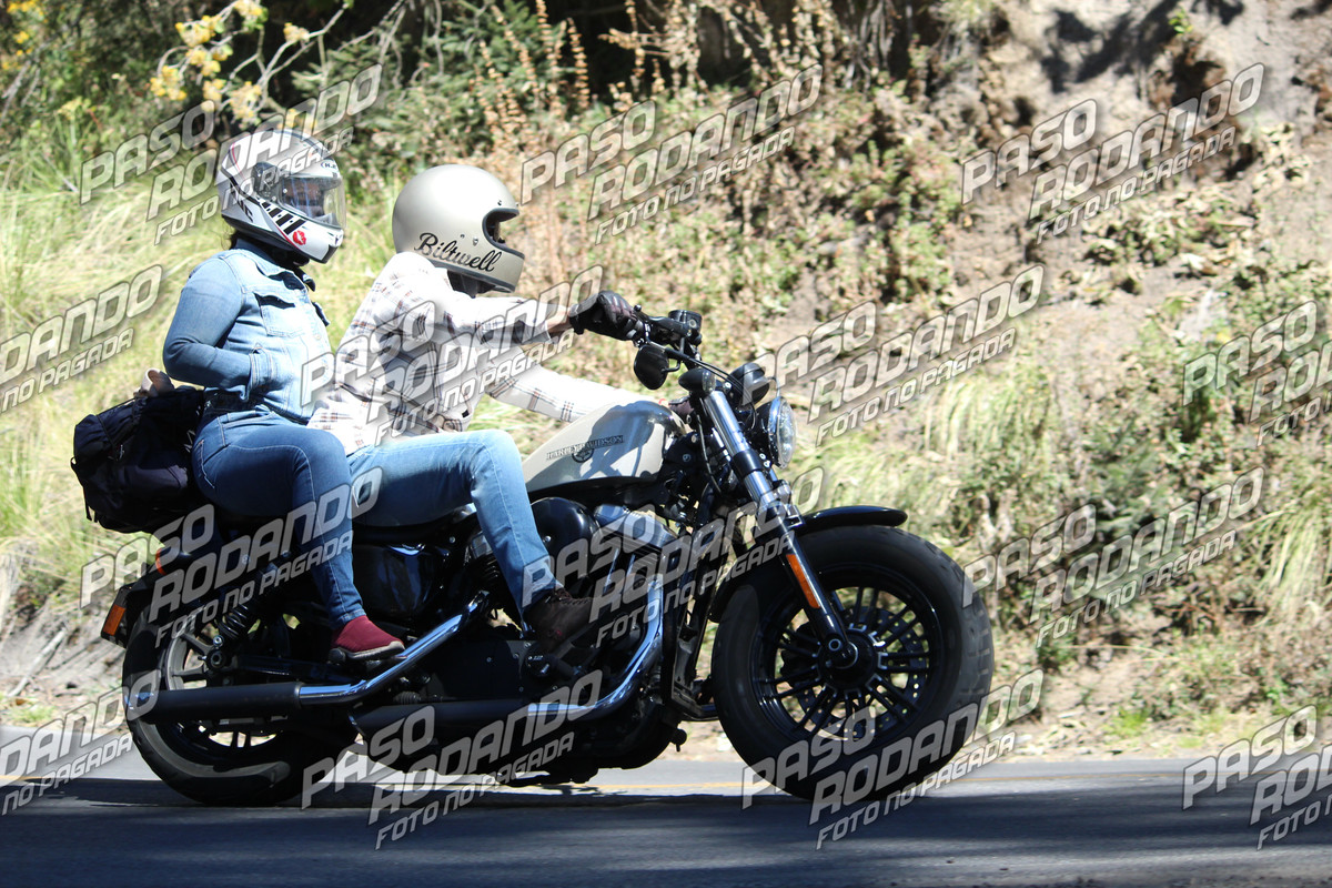 IMG 5740 wm 7637123 watermarked — Postimages