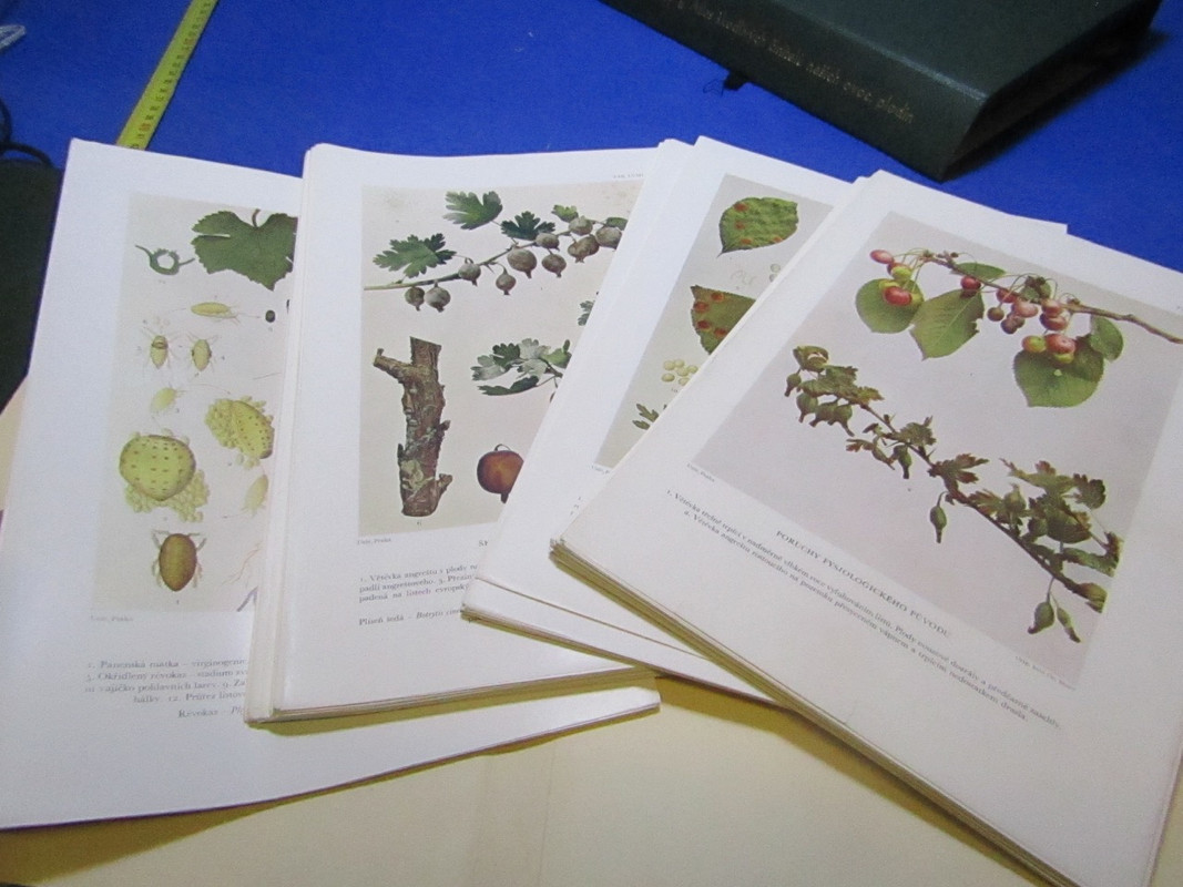 IMG 1891 — Postimages