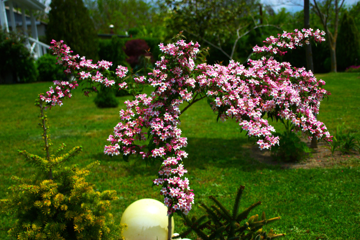 IMG 5097 — Postimages