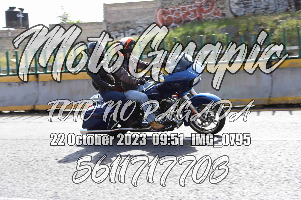 motgr IMG 0795 — Postimages