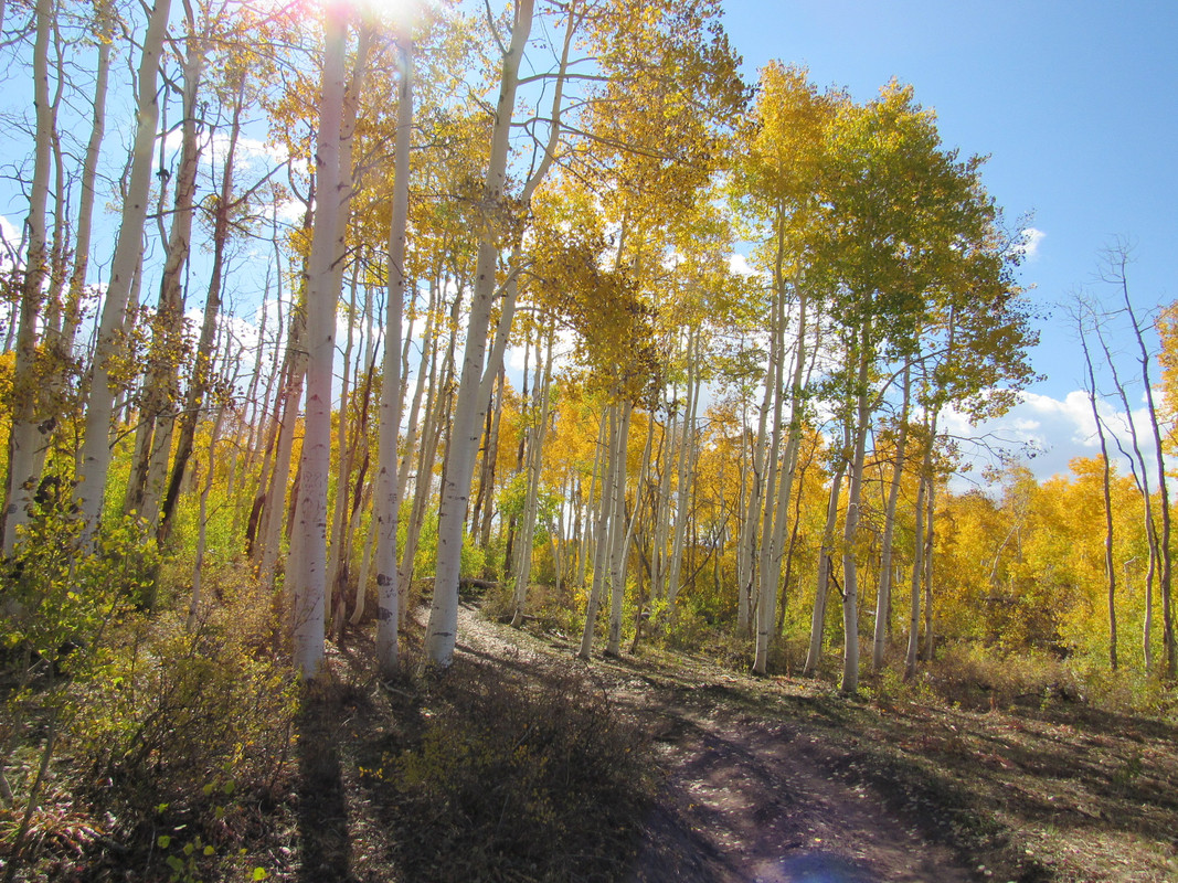 IMG 6881 — Postimages