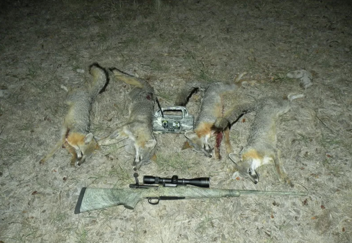 Screen Shot 2025 07 02 at 7 07 57 PM — Postimages