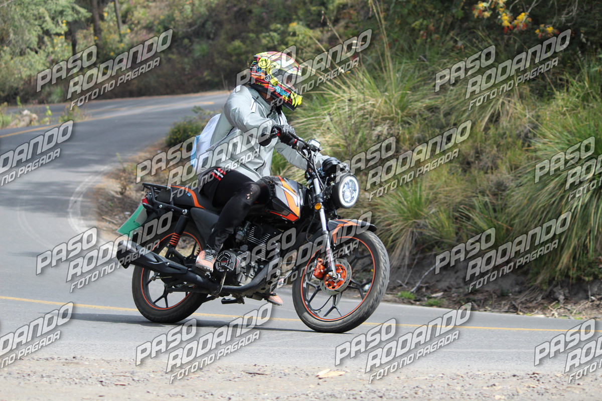 IMG 7435 wm 186292 7000000002 watermarked — Postimages