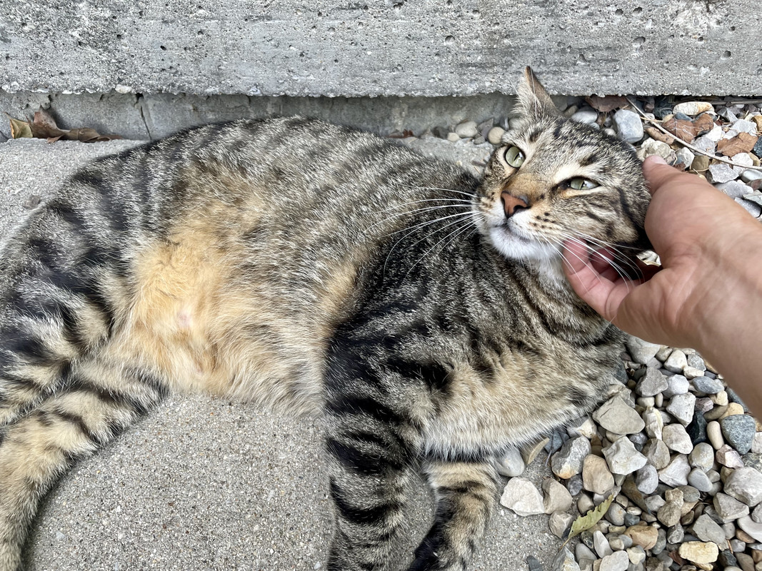 IMG 0557 — Postimages