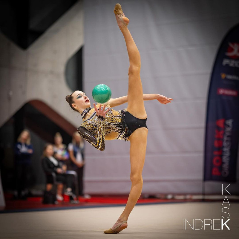 schmidt polish cup24 2c — Postimages