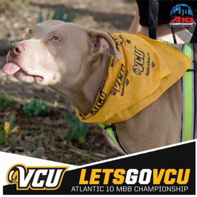 THE VCU RAMS ARE THE 2025 ATLANTIC 10 CONFERENCE CHAMPIONS! | Page 94 ...