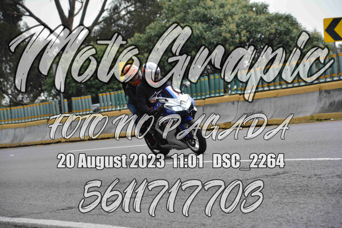 motgr DSC 2264 — Postimages