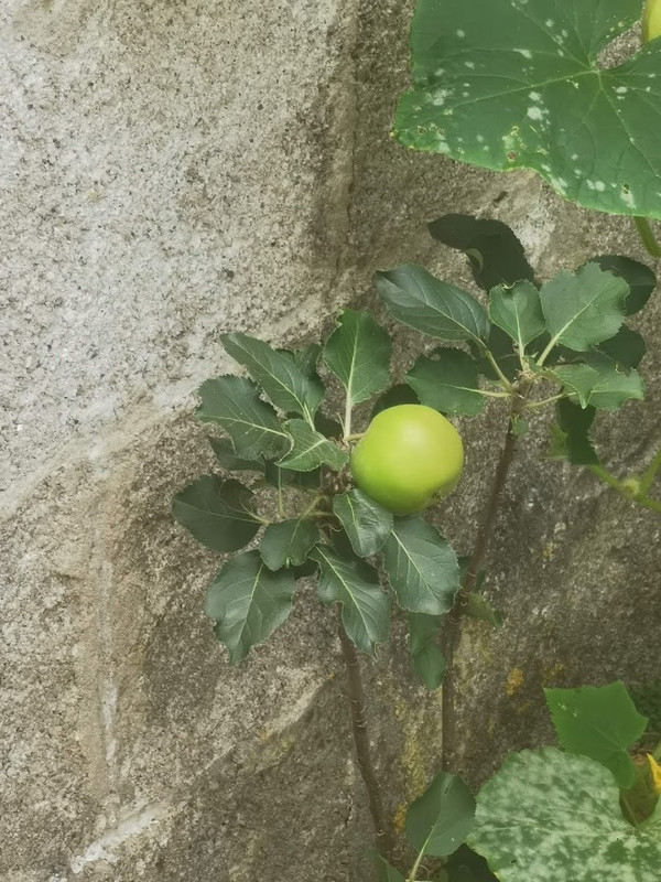 IMG 20210804 165121 — Postimages