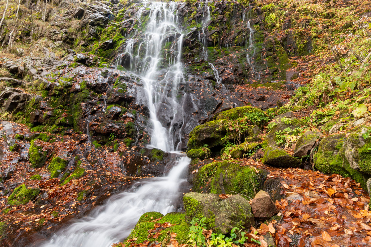 DSC 9112 2 — Postimages