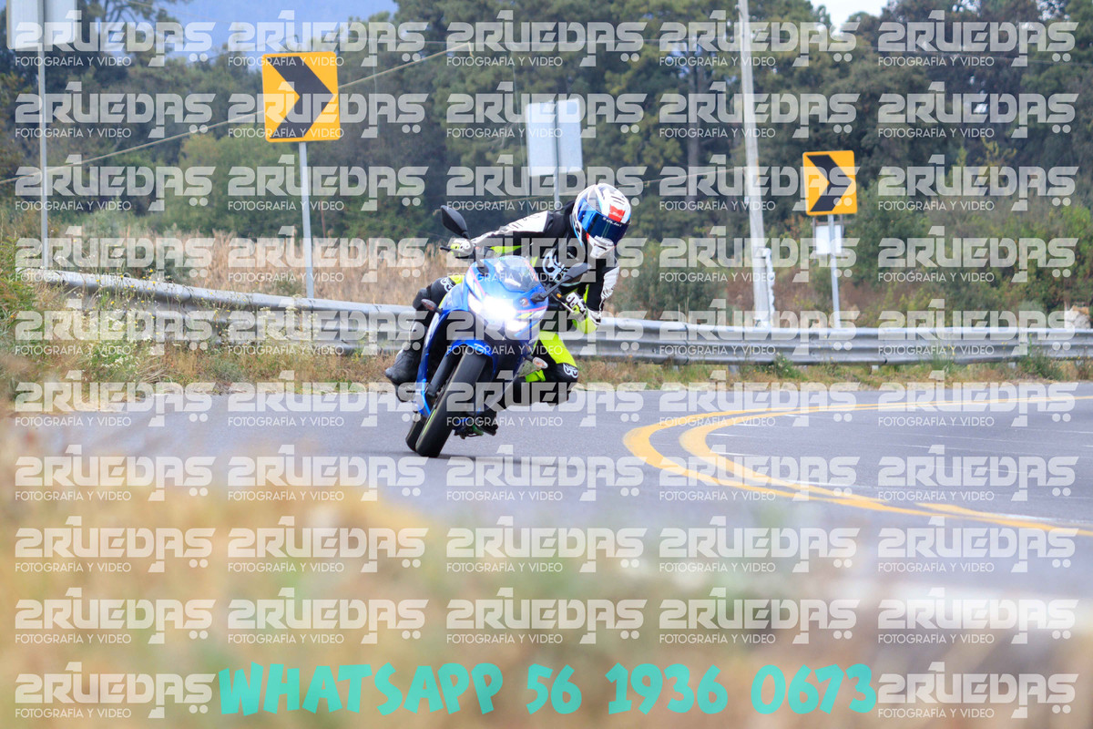 MG 0879 — Postimages