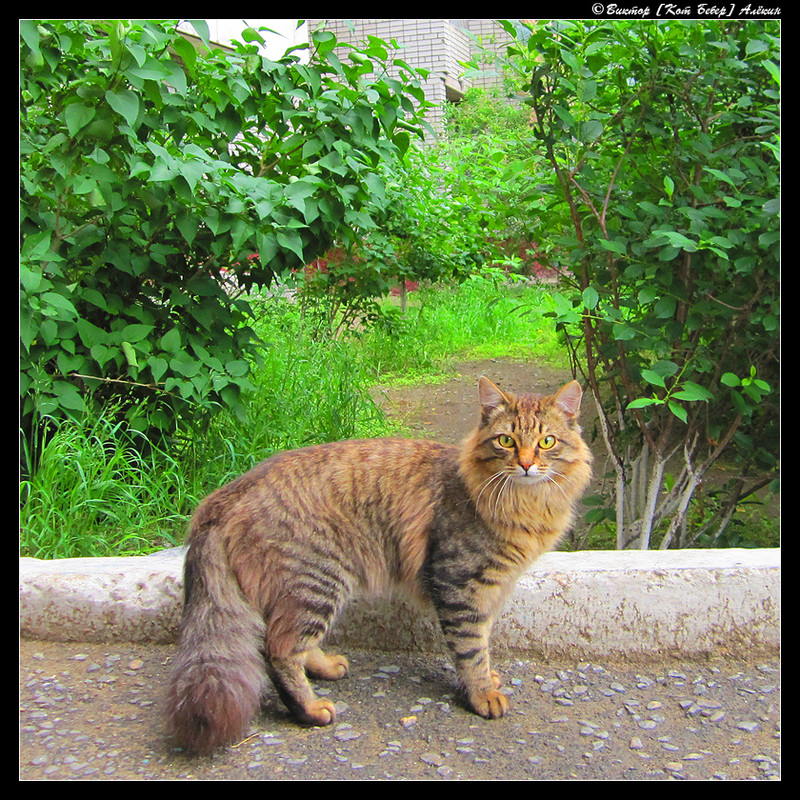 IMG 0806 23 — Postimages