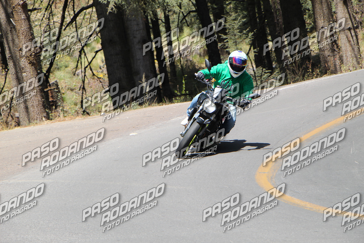 IMG 3138 wm 6236917 1 watermarked — Postimages