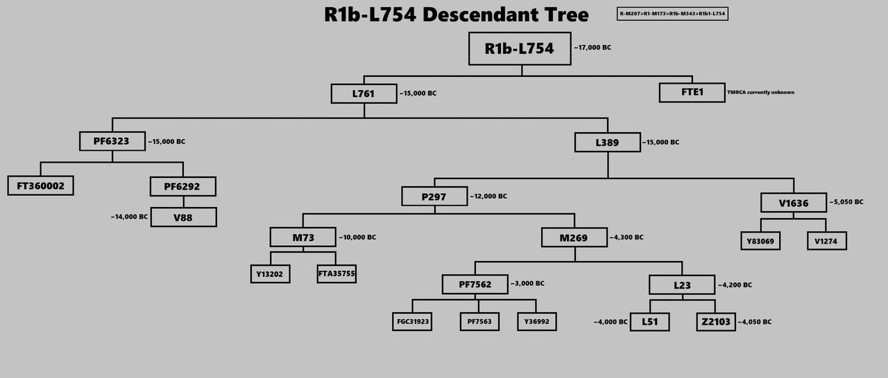 The Recent "Branch Splitter": R-FTE1