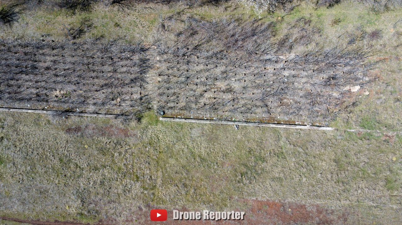 batch Document Name 36 — Postimages